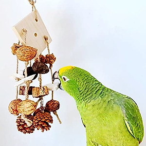 Bird Chewing Toys-Natural Wood Hanging Bird Cage Toys Set-Bird Swing Toys for Parrots, Parakeets, Cockatiels, Lovebird, Budgie, Conures (S-Cuttlebone)