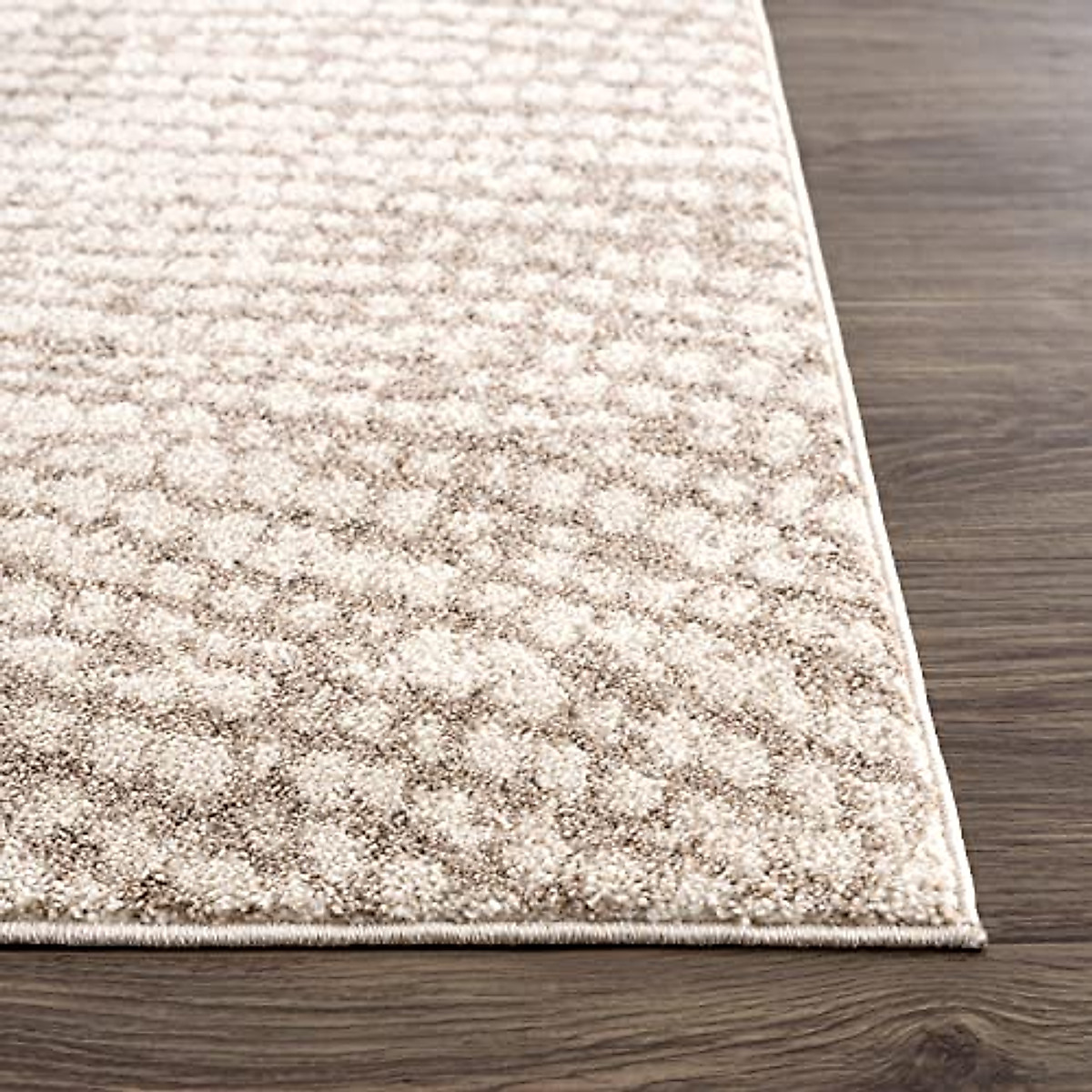 Abani Contemporary Design Beige & Cream 7'9" x 10'2" (8'x10') Area Rug Rugs - Unique Non-Shed Desert Folds Print Living Room Rug