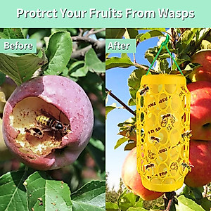 Wasp Trap Carpenter Bee Trap 2 PCS & Replaceable Sticky Boards 4 PCS & Hanging Strings 2 PCS | Repellent Wasp Trap Hanging for Yellow Jacket Wasp Killer Catcher | Reusable & Durable Bee Catcher