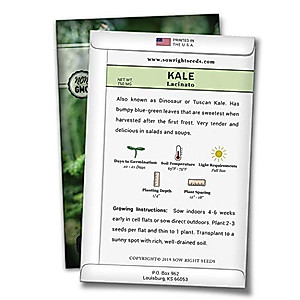 Sow Right Seeds - Lacinato Kale Seed for Planting - Non-GMO Heirloom Packet with Instructions to Plant a Home Vegetable Garden, Great Gardening Gift (1)