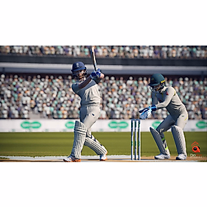 Cricket 19 - The Official Game of the Ashes - PlayStation 4 (PS4)