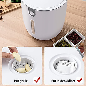 Rice Dispenser Kitchen Organization, Dry Food Storage Container with Flip Lid for Cereal Grain, Black Rice, Pet Food, Beans