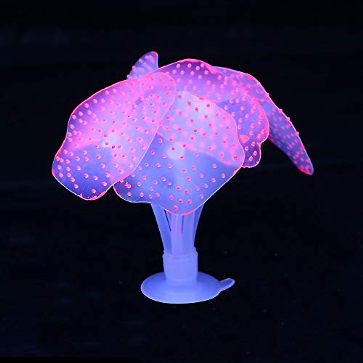 Filhome Glowing Fish Tank Decorations Plants, 4 pcs Glow Aquarium Decoration Plants Kit Glowing Sea Anemone Coral Ornaments