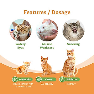 PROUDPET Supreme L-Lysine. Nutritional Supplement can Help Cats Keep Away from Herpes Virus. Also The Black Yeast can can Further Protect The Cat's Respiratory Health.