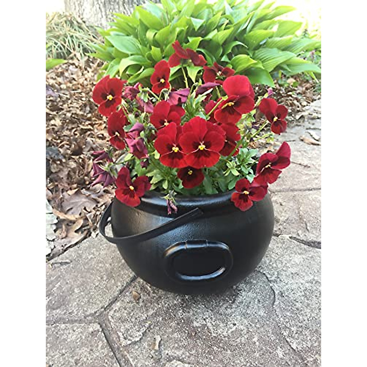 Black Plastic Planter, Antique, Cast Iron Looking Cauldron Kettle Flower Pot 8" with Handle, Early American Style