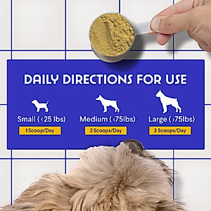 Wonder Paws Bone Broth for Dogs – Bone Broth Powder with Organic Mushrooms & Collagen for Digestion, Immunity & Joint Support – Tasty Beef Supplement for Dogs of All Ages, Sizes & Breeds – 3.20 oz