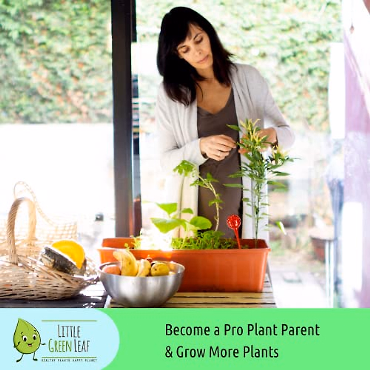 LGL Plant Watering Globes - 2 Pieces. Decorative Self Watering Planter Inserts Made From Hand-Blown Durable Glass. Keep your Outdoors and Indoor Plants Healthy. Ideal Plant Lover Gift (2pk Small)