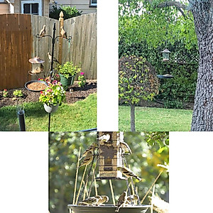 Pmsanzay Bird Seed Catcher Tray Platform Feeder Hanging Tray Fits Most feeders Catches Most Falling Seed and Husk Great for Attracting Birds Outdoors,Backyard,Garden - No Feeders