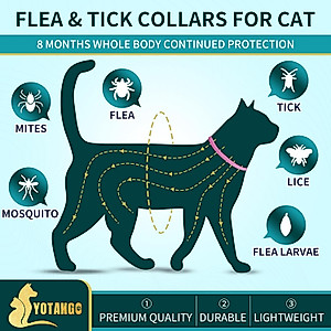 4 Pack Flea Collar for Cats, Cat Flea and Tick Collar 8 Months Cat Flea Collar Treatment Prevention, Adjustable Waterproof Cat Flea Collar Kitten Natural Tick and Flea Collar for Cat (Pink&Orange)