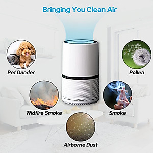 ThingRay LV-H132 Replacement Filter Compatible with LEVOIT LV-H132-RF,3 in 1 Pre-Filter,H13 True HEPA,Activated Carbon Filter,2 HEPA & 4 Carbon Filter