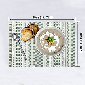 HeloHo Green Placemats Set of 4,Vinyl Table Place Mats Heat Stain Resistant Foldable Placemats Washable Wipeable Placemat for Kitchen Dining Table Decoration Indoor Outdoor