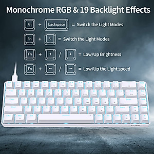 DIERYA T68SE 60% Gaming Mechanical Keyboard,Ultra Compact Mini 68 Key with Blue Switches Wired Keyboard,Anti-Ghosting Keys, for Windows Laptops and PC Gamers,White