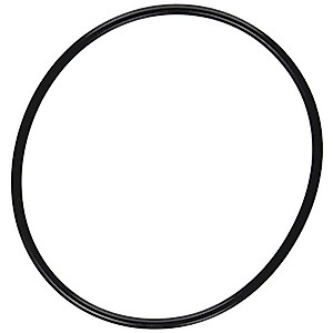 Pentair 357255 #357 Lid O-Ring Replacement Pool and Spa Inground Pump