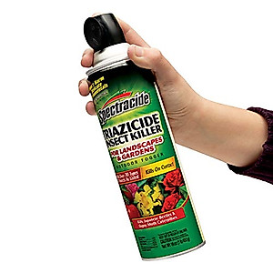 Spectracide Triazicide Insect Killer For Landscapes And Gardens Outdoor Fogger 16 Ounces