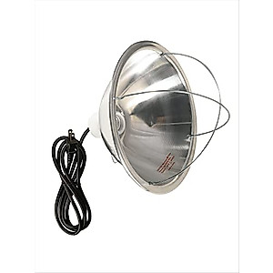 Woods 0165 Brooder Lamp with Bulb Guard;10.5 Inch Reflector and 6 Foot Cord (250 Watt; 18/2 SJTW); 0