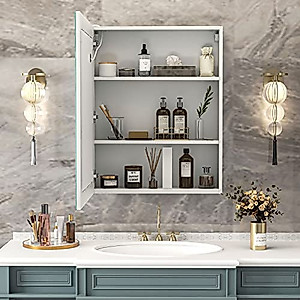 Mepplzian LED Bathroom Mirrored Medicine Cabinet Lighted Medicine Cabinet Wall Mounted Mirror Cabinet with 3 Storage Shelf Medicine Cabinet with Led Lights and Defogger,US Plug Adapter,23.6x29.9Inch