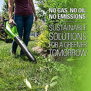 Greenworks 24V Brushless Axial Blower (110 MPH / 450 CFM), 4Ah USB Battery and Charger Included