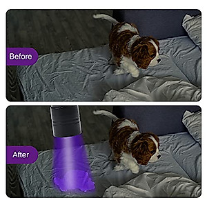 COSOOS 2 Pack UV Flashlight, 12 LED Handheld Blacklight Flashlight 395nm Mini Light Torch Detector for Dog Pet Urine Stains, Bed Bugs and Scorpions. (Batteries not Included)