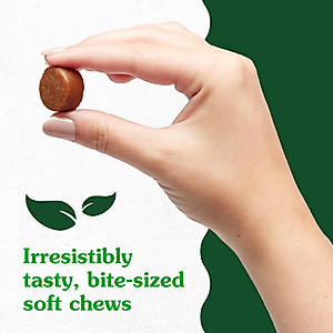 Greenies Hip & Joint Soft Chew, Dog Joint Supplement with Chondroitin and Glucosamine for Dogs, Joint Support Supplements, Chicken Flavor, 80-Count Tub, Pack of 2