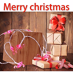 WIND Flamingos Holiday LED Christmas Light Phone Charging Cable, 8 LED Pink 50inch Charger Cord for Phone 14/Pro Max/Pro/Plus,Phone 13/Pro Max/Pro/Mini,12 Pro Max/11 Pro/8/7 Airpods etc