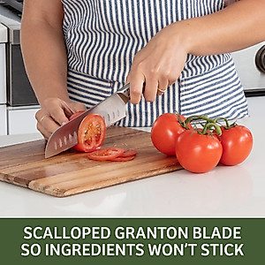 Prosper Culinary Santoku Knife 7 Inch Kitchen Knife for Chopping Vegetables and Meat - Bonded High Carbon Stainless Steel Design - Well-Balanced and Comfortable Japanese Chef Knives with Sheath