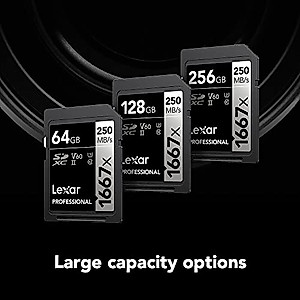 Lexar Professional 1667x 128GB (2-Pack) SDXC UHS-II Memory Cards, C10, U3, V60, Full-HD & 4K Video, Up To 250MB/s Read, for Professional Photographer, Videographer, Enthusiast (LSD128CBNA16672)