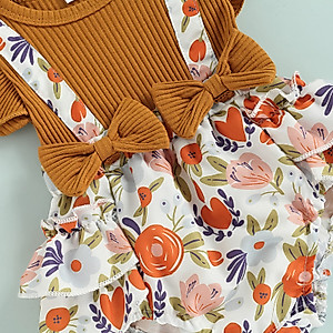 Frietlebird Newborn Baby Girl Clothes Floral Romper Ruffle Sleeve Onesie Dress with Headband Spring Summer Outfit (B-Purple,0-3 Months)