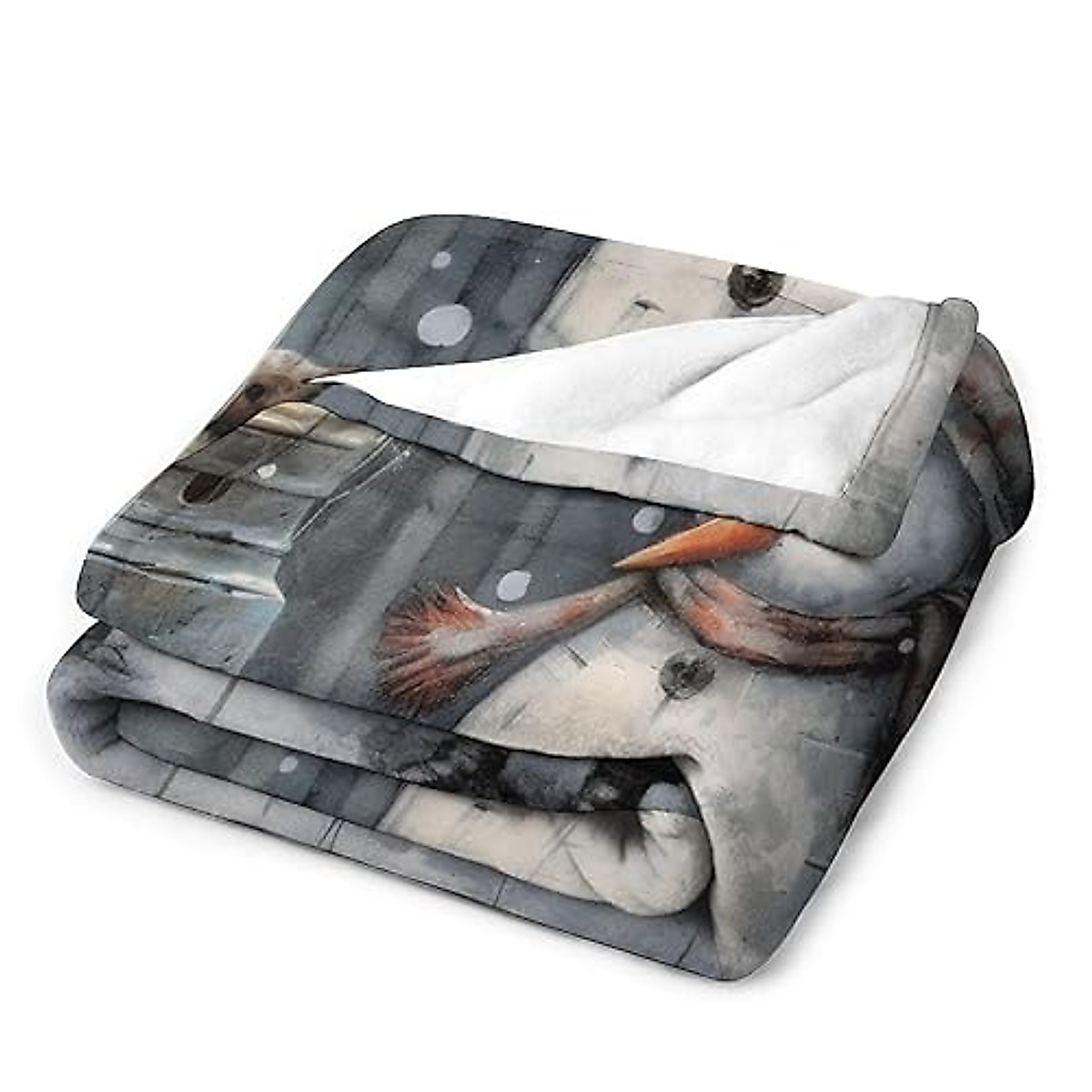 Blanket Snowman, Bird and Lantern Plush Throw Fleece Blanket Happy Winter Holiday Soft Cozy Microfiber Throw Blanket for Couch Sofa Bed for Adults Kids Boys Teens Gift Christmas 60"x80"