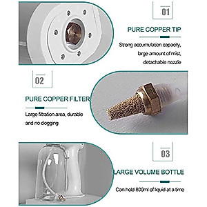 Blue Light Nano Atomizer, Cordless Electric Sprayer Handheld Rechargeable Large Capacity Fogger Machine for Home, Garden, Car, Office Outdoor Indoor(800ML)