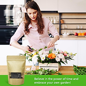 LUOJIBIE Moss Rose Seeds, 10,000+ Bulk Flower Seeds for Planting Outdoors(99% Pure Live Seeds, Non-GMO), Mixed Colors and Large Blooms, Annual Perennial, Easy to Grow, Attracts Pollinators