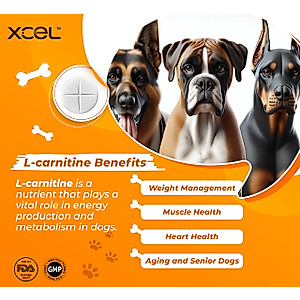 1000 mg Quarter Dosing Taurine Supplement with L Carnitine for Dogs, Supports Heart, Cardiovascular Health, Supports Eye Health