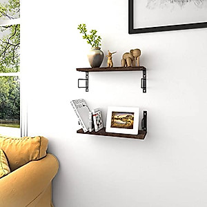 Eifiwot Floating Shelves Wall Mounted Set of 2, Wall Shelf Storage for Office, Bathroom, Living Room, Bedroom, Kitchen, Dark Carbonized Black Shelves for Wall Decor