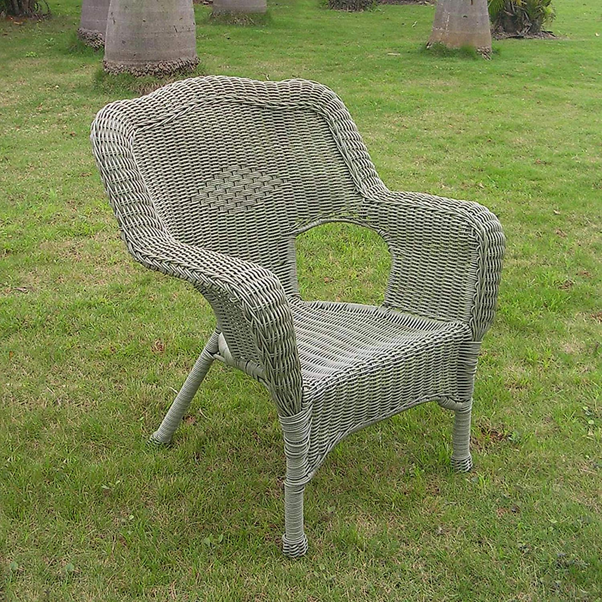 International Caravan Furniture Piece Camelback Resin Wicker Patio Chairs (Set of 2)