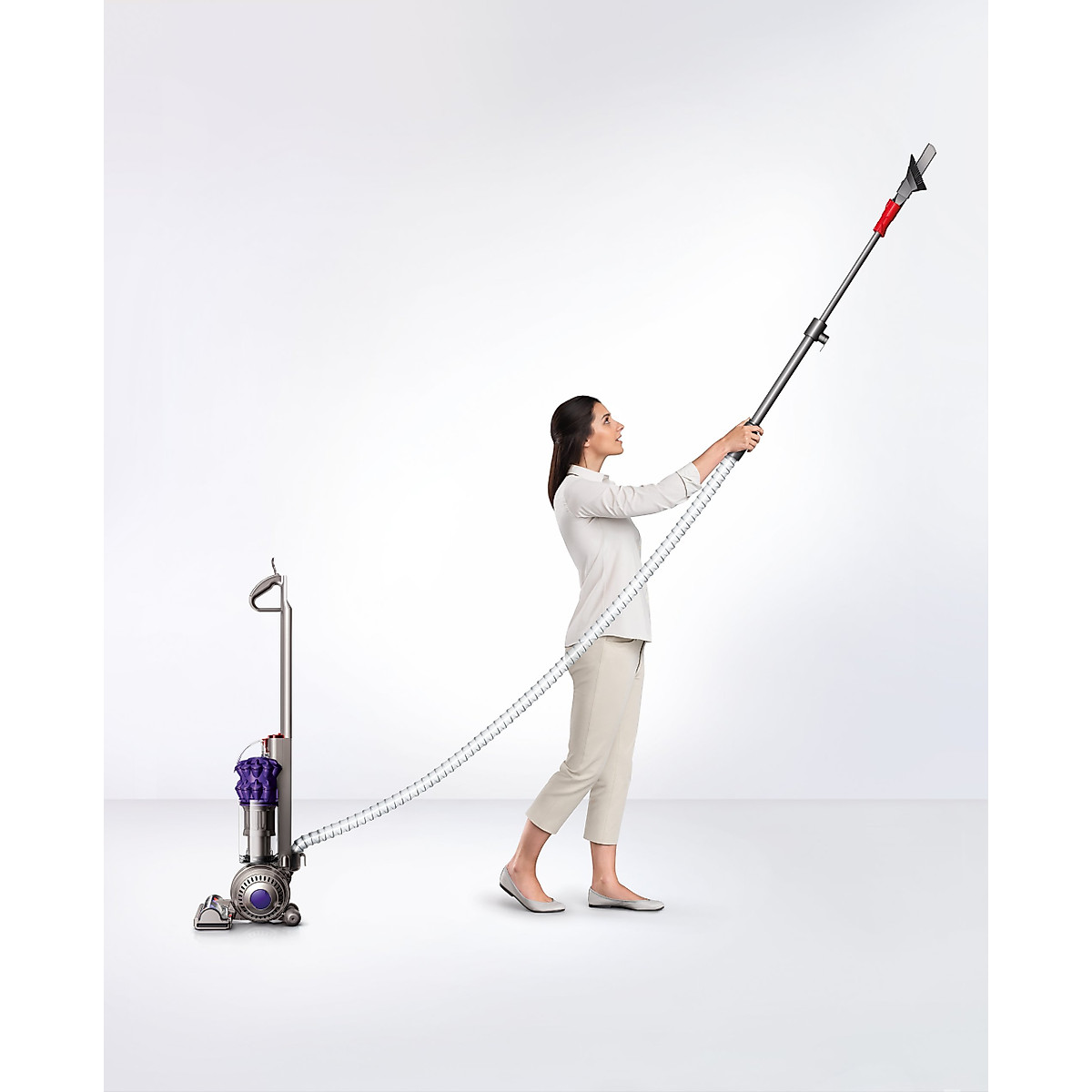 Dyson DC50 Animal Compact Upright Vacuum Cleaner, Iron/Purple - Corded