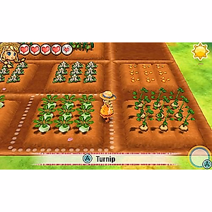 Story of Seasons: Trio of Towns - Nintendo 3DS