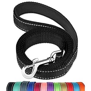 FunTags 6FT Reflective Dog Leash with Soft Padded Handle for Training,Walking Lead for Large & Medium Dog,1 Inch Wide,Black