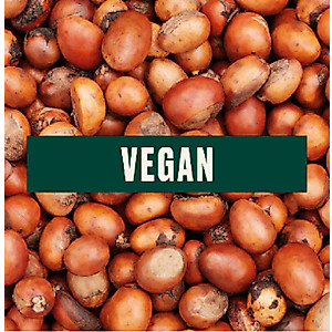 The Body Shop Shea Exfoliating Sugar Body Scrub – Refreshes and Cools with a Delicately Nutty Scent – Vegan – 1.7 oz