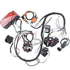 Complete Electrics Wiring Harness Stator Coil CDI Solenoid Relay Spark Plug Tail Light for 4 Wheelers Stroke ATV （150cc 200cc 250cc 300cc） Pit Dirt Bike Go Kart Zongshen Lifan by OTOHANS AUTOMOTIVE