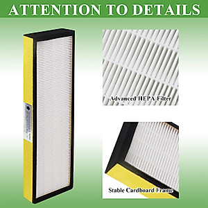 Funmit FLT4825 Filter B Replacement for Guardian AC4825 AC4825E AC4300 AC4800 AC4900 AC4850-3 True Filter + 12 Activated Carbon Pre Filter