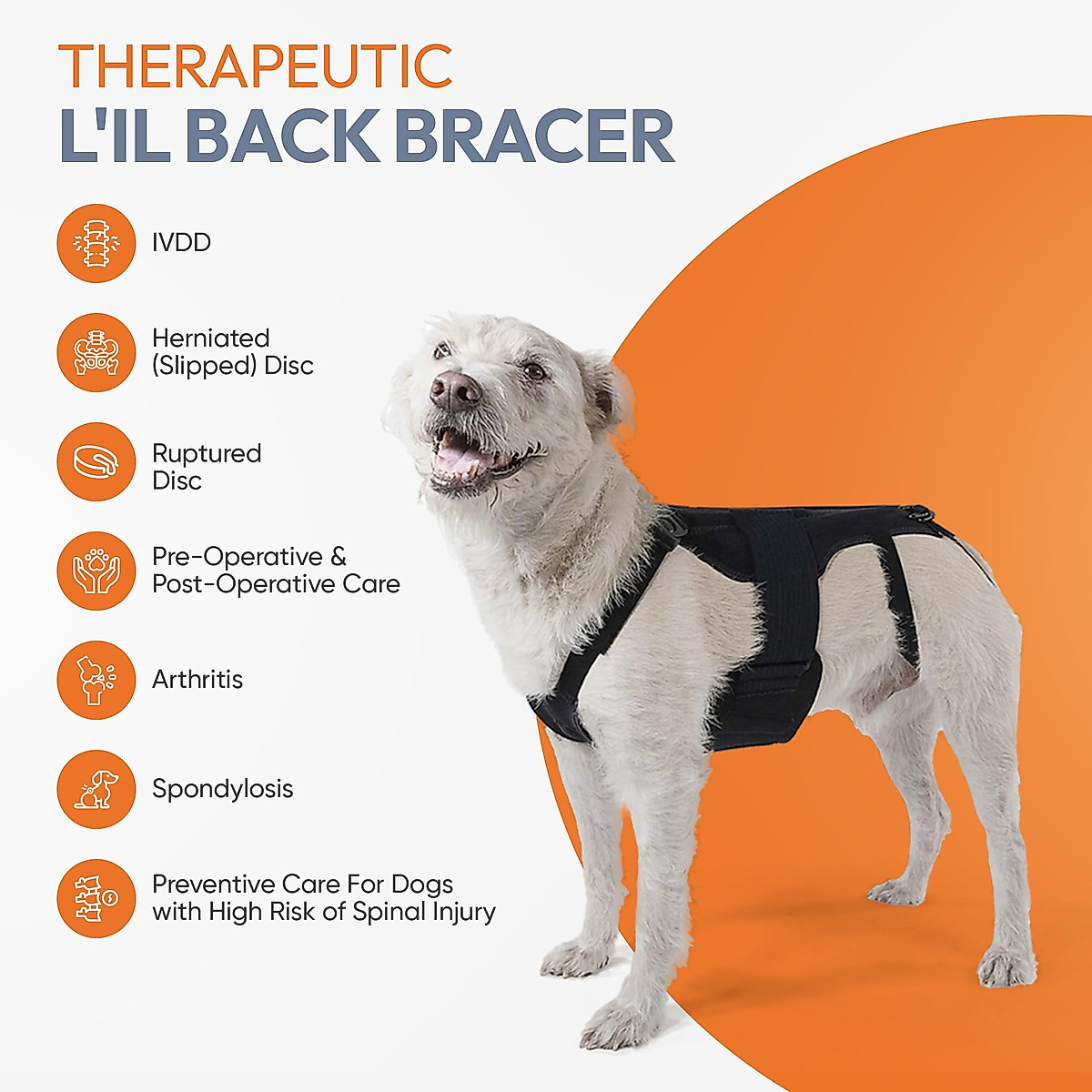 Dog Back Brace for IVDD - Orthopedic Support Back Brace for Dogs - Herniated & Slipped Disc, Pre & Post-Surgical Spinal Support - Made in USA