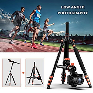 PHOPIK Camera Tripod 76 Inch Camera Tripod with Rotatable Horizontal Center Column, Aluminium Professional Tripod for DSLR with 360 Degree Ball Head, Quick Release Plate