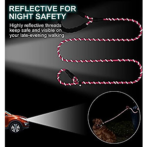 TagME Slip Leads for Dogs, 6 FT Heavy Duty Dog Leash with Padded Handle, Strong Rope No Pull Pet Training Leash for Small Dogs,Hot Pink