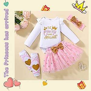 XIFAMNIY Baby Girls Princess Embroidery Pink Infant Newborn 3PCs Bodysuit Dress Tutu Skirt Coming Home Outfit Set for Fall and Spring