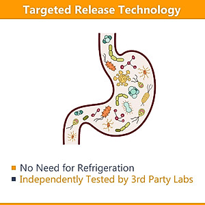 NewRhythm Probiotics 50 Billion CFU 20 Strains, 60 Veggie Capsules, Targeted Release Technology, Stomach Acid Resistant, No Need for Refrigeration, Non-GMO, Gluten Free