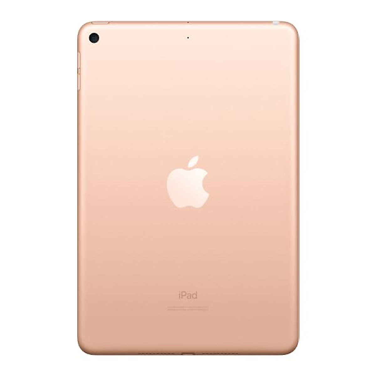 2019 Apple iPad Mini (Wi-Fi, 64GB) - Gold