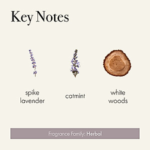 LAFCO New York Signature Candle, Spike Lavender - 15.5 oz - 90-Hour Burn Time - Reusable, Hand Blown Glass Vessel - Made in The USA