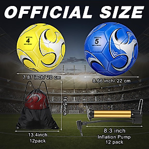 Ceenna 6 Pcs Soccer Ball Bulk with Pump Bag Machine Stitched Deflated Soccer for Outside Sports Training Game Practice(Stylish,Size 4)
