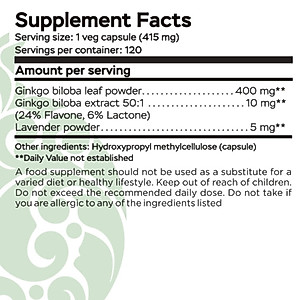 RaDoTech Ginkgo Biloba Support Brain Function, Supplements for Memory and Focus, Natural Antioxidant-Rich, Promotes Overall Health, 120 Vegetarian Capsules, GMP