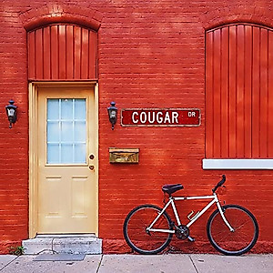 Cougar Street Sign Pet Animal Metal Sign 4x18in Customized Weatherproof Metal Wall Art Country Metal Plaque Sign for Home Bar Pub Garage Road Man Cave