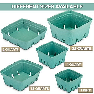 FMP Brands 44 Pack Quart Green Molded Pulp Fiber Berry Basket Produce Vented Container for Fruit and Vegetable, Farmer Market, Grocery Stores and Backyard Party